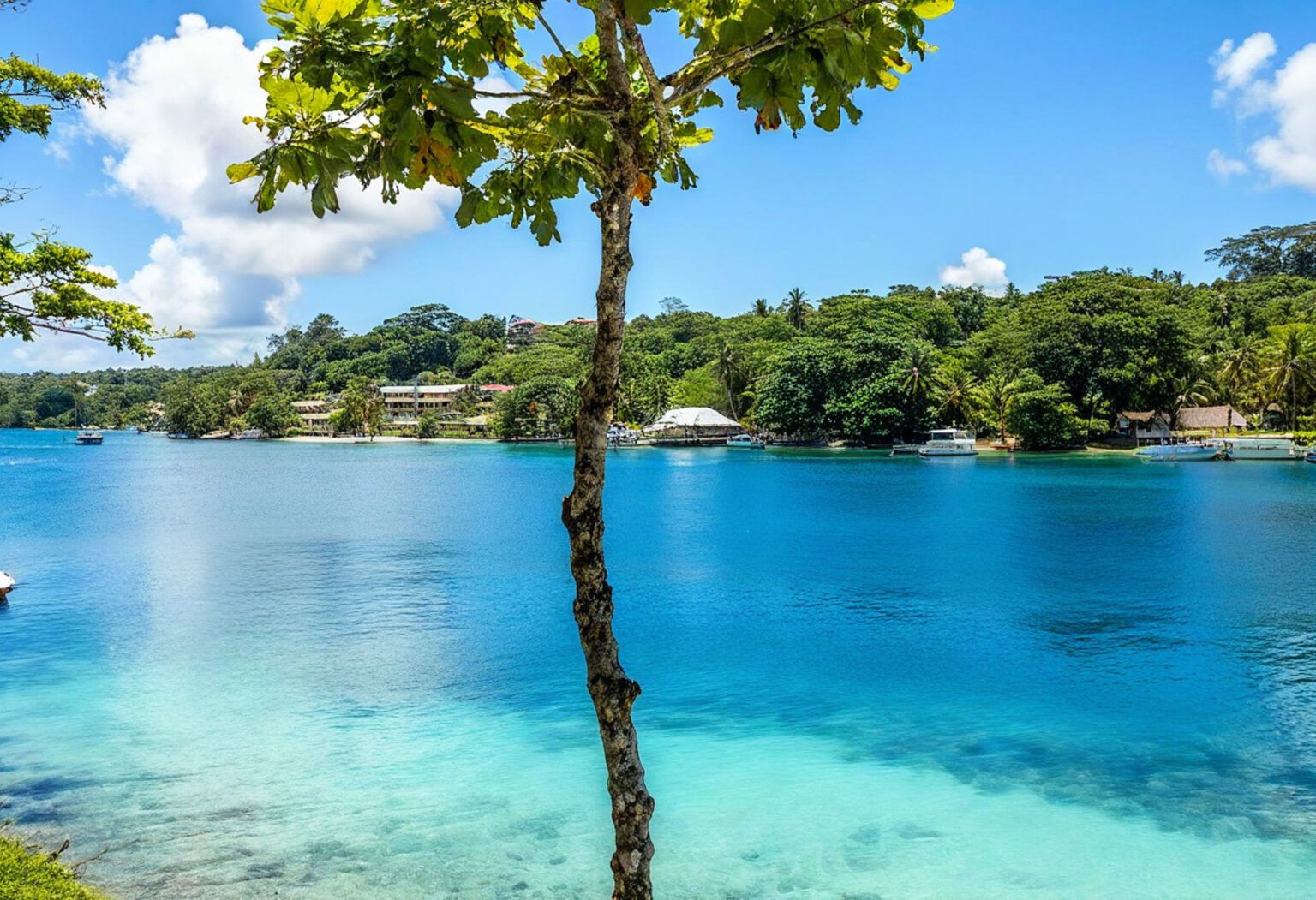 Vanuatu History – Vanuatu Independent