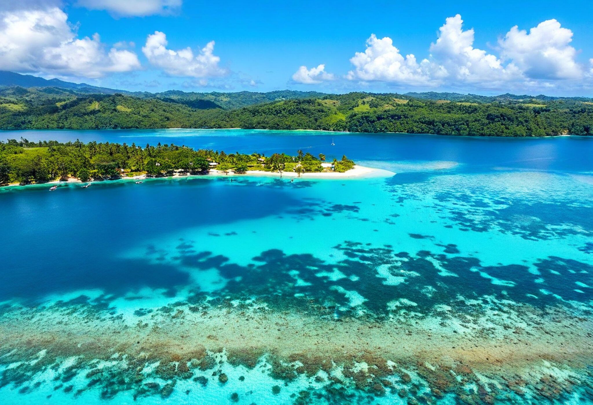 Vanuatu Cuisine – Vanuatu Independent