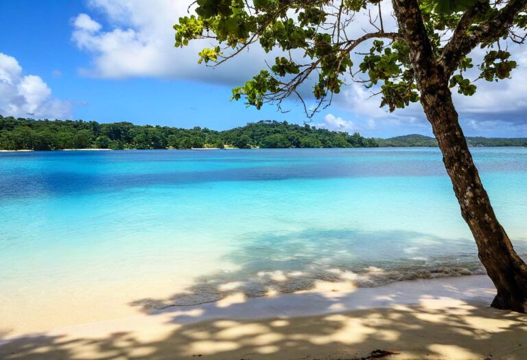 Pacific Islands Guide: Countries, Maps, and Key Facts – Vanuatu Independent